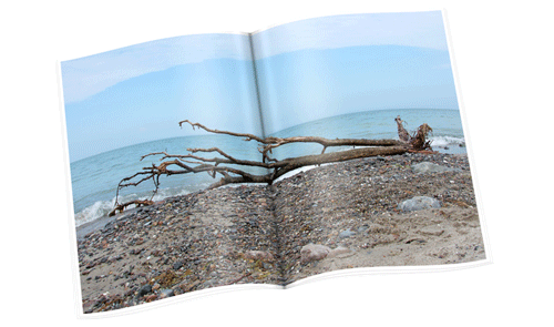 Fotobuch erstellen » Fotoalbum online gestalten